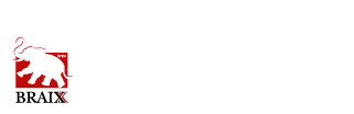 株式会社ブレイックス